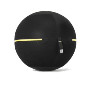 Technogym Wellness stability ball